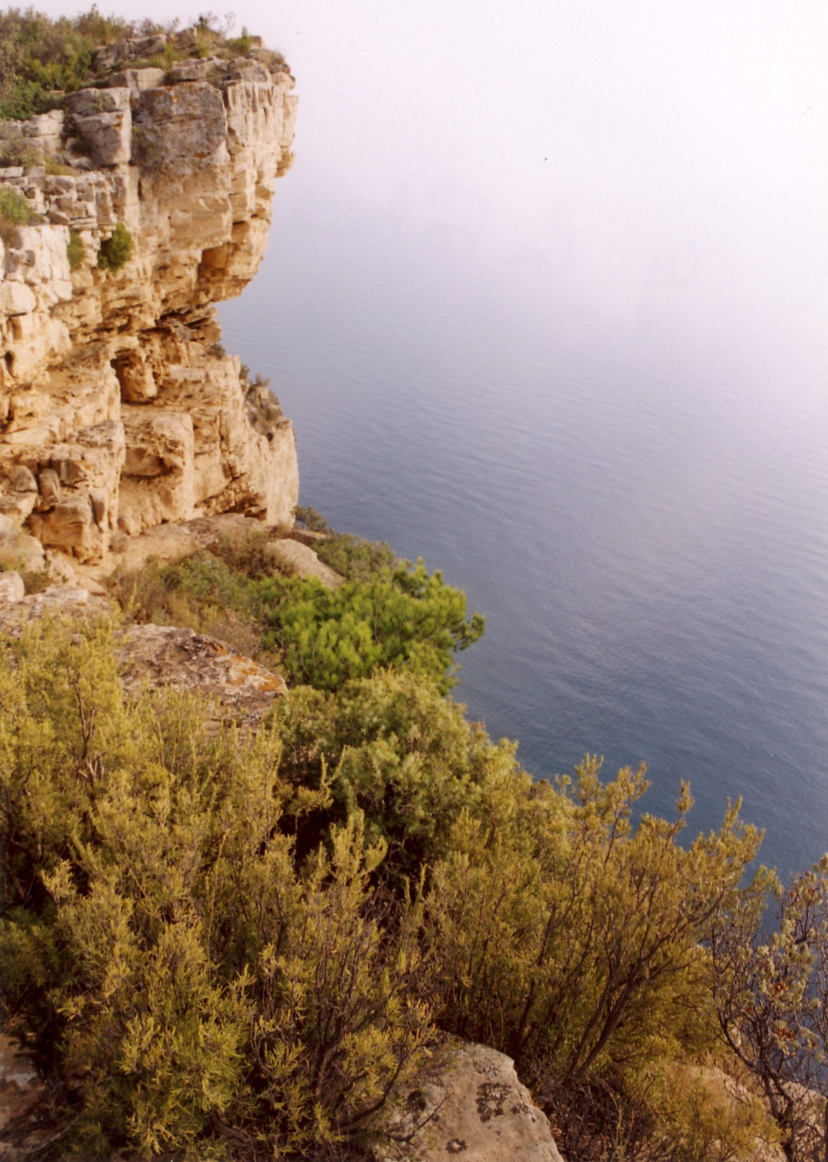 Sentiers de FranceCalanques & Cap Canaille - Sentiers de France